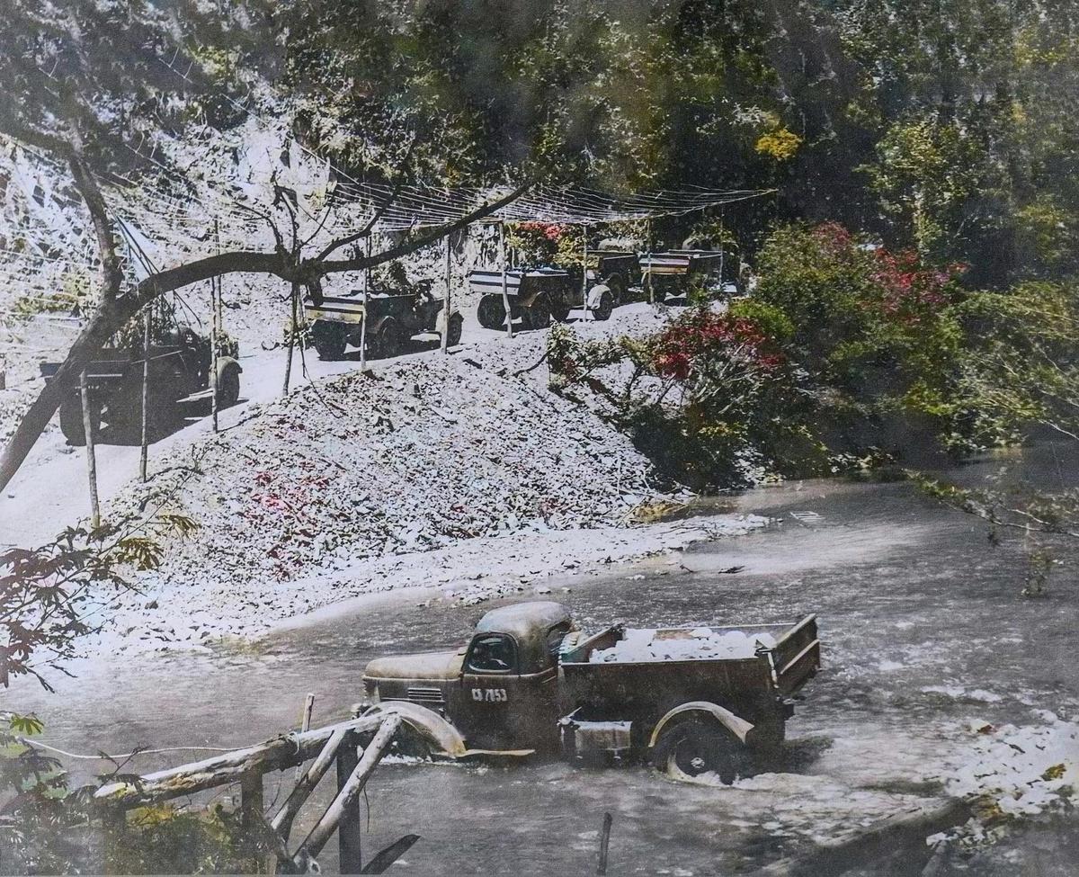 COVERED ROAD – USING THE FOREST AS CAMOUFLAGE - Commander Cave