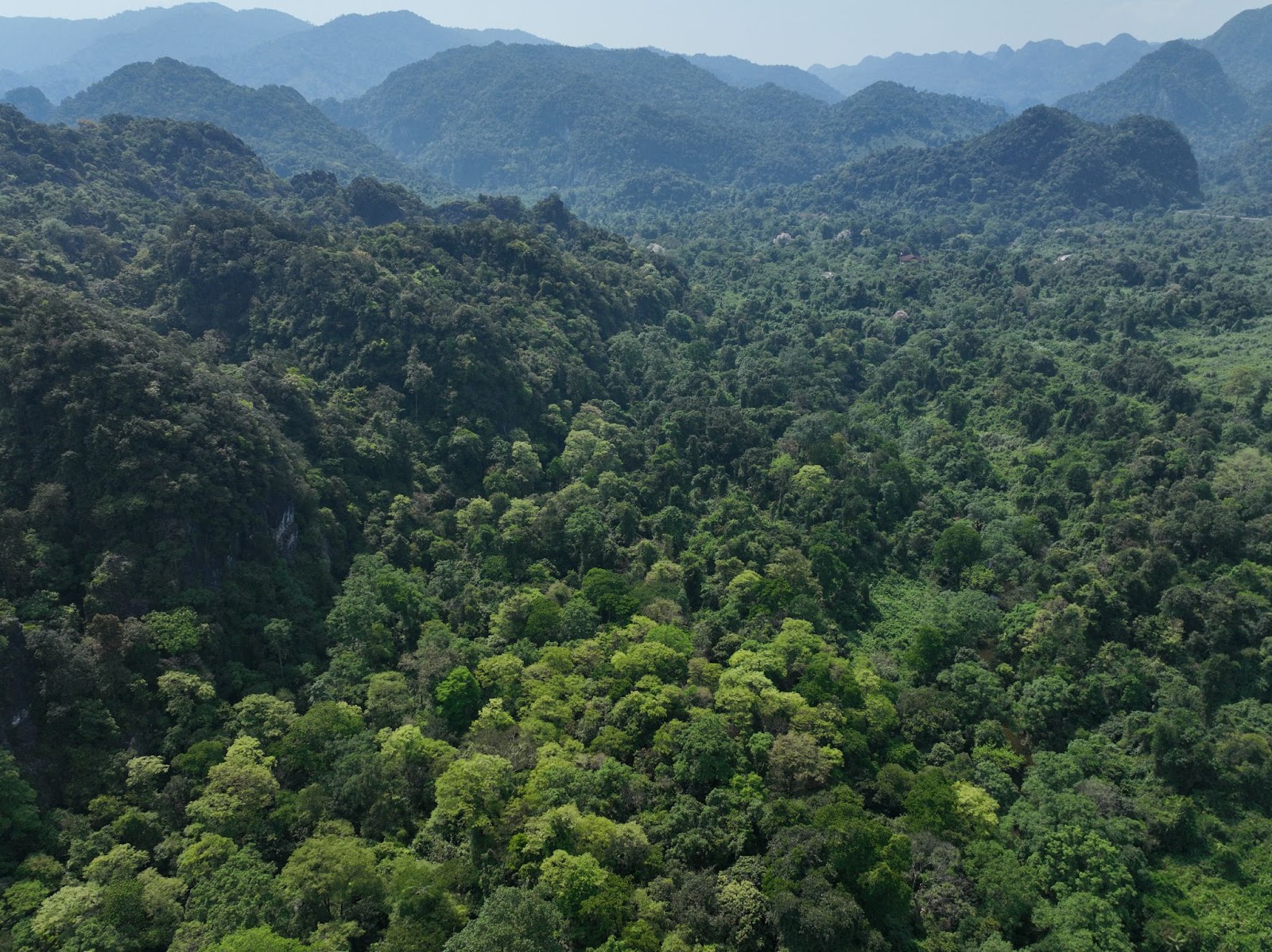 The Truong Son covered road – A masterpiece of military camouflage in ...